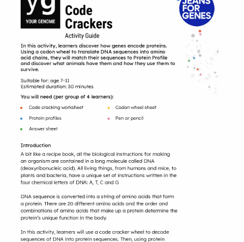 Origami DNA - Jeans for Genes